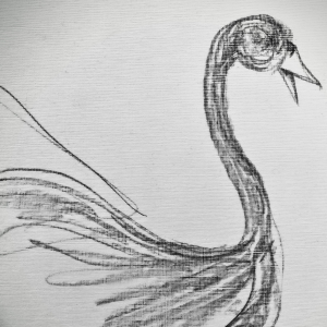 Kari Ann Flickinger Biennial Memorial Literary Prize – from Rare Swan ...