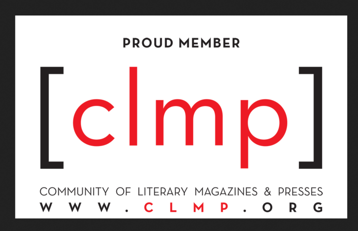 KARI ANN FLICKINGER MEMORIAL PRIZE – An alternative prize for poetry and fiction